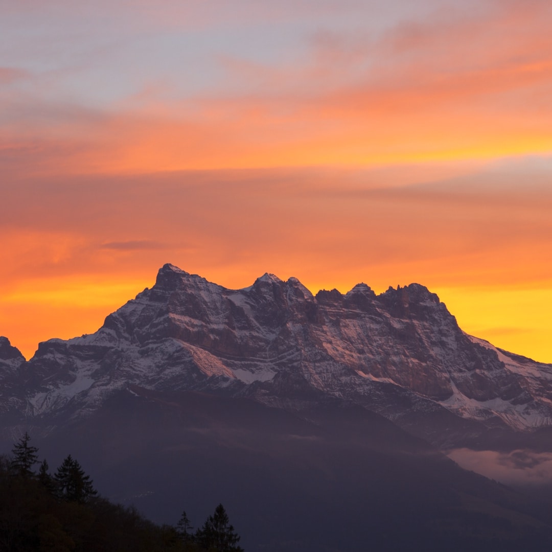 Maria J Stephan - Nonviolence: a solid way to make peace - Visual ...